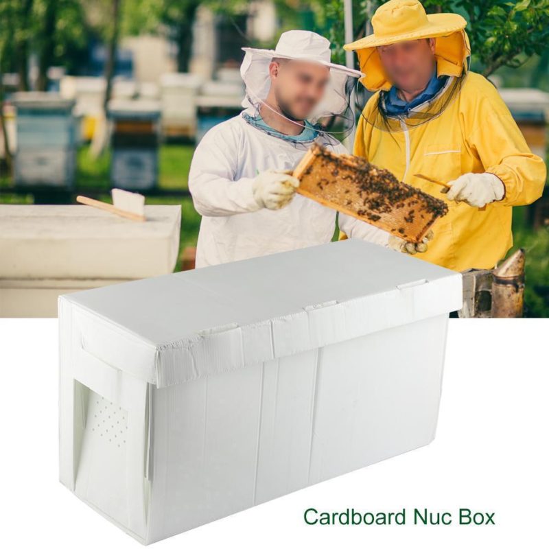 Plastic Cardboard Nuc Box - BeePlazaSA
