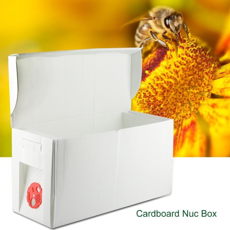 Plastic Cardboard Nuc Box - BeePlazaSA