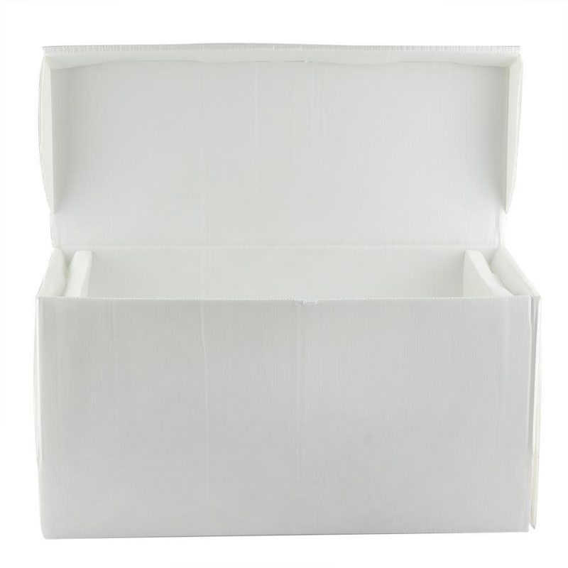 Plastic Cardboard Nuc Box - BeePlaza SA Beekeeping Supplies