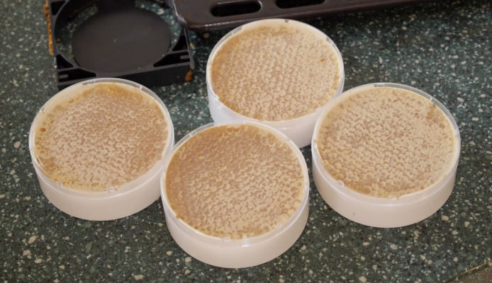 Comb Honey Frame Starter Kit - BeePlaza SA Beekeeping Supplies